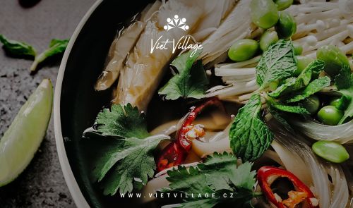 Viet Village Restaurant Zlín | Autentická vietnamská restaurace v ...